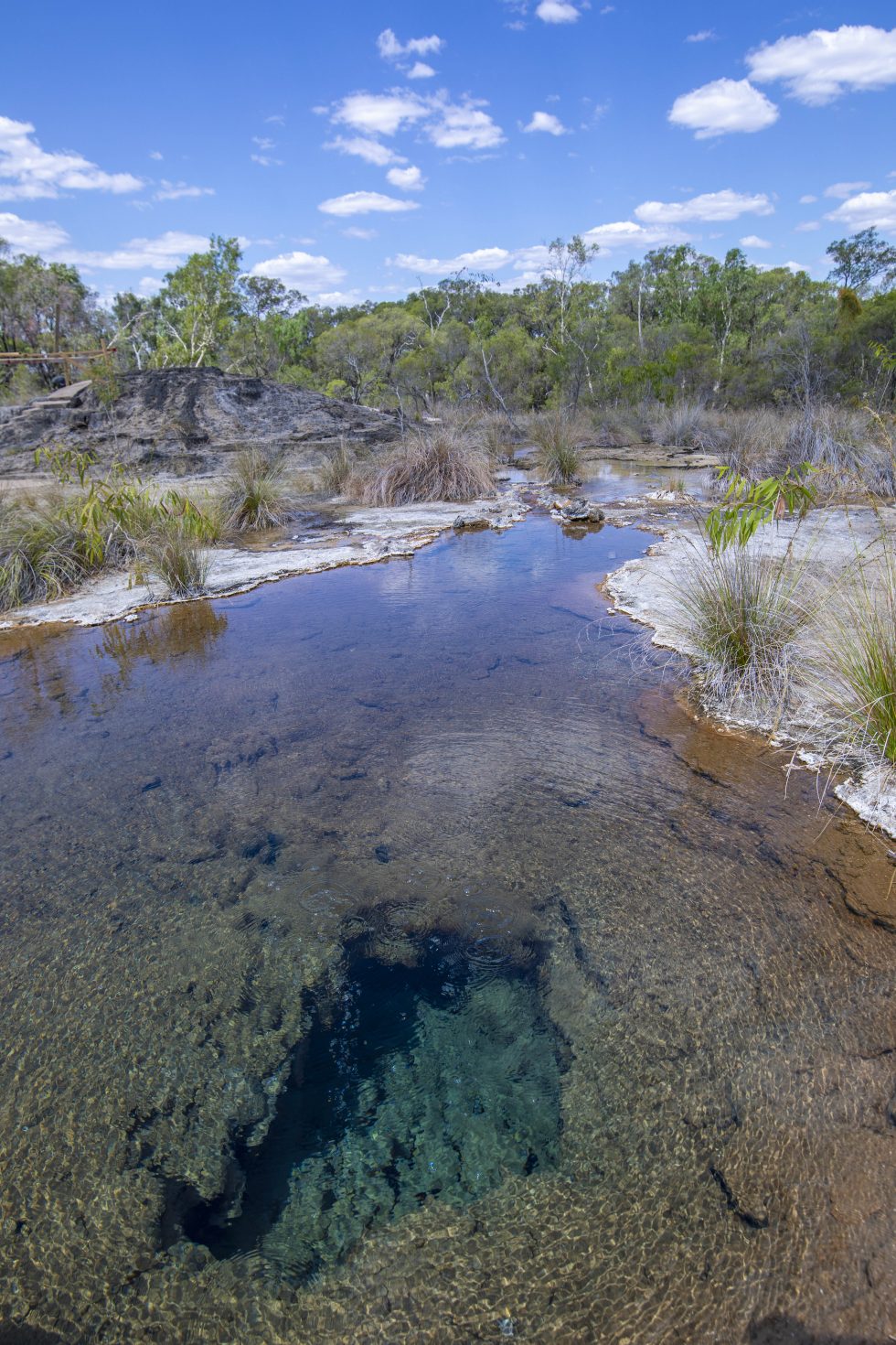 Talaroo Hot Springs | The Savannah Way